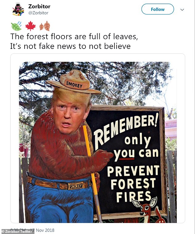 Rake news! Twitter TROLLS Trump with hundreds of memes after he claims ...