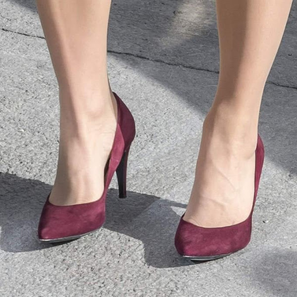 Princess Victoria attends the 10th anniversary of the ECDC