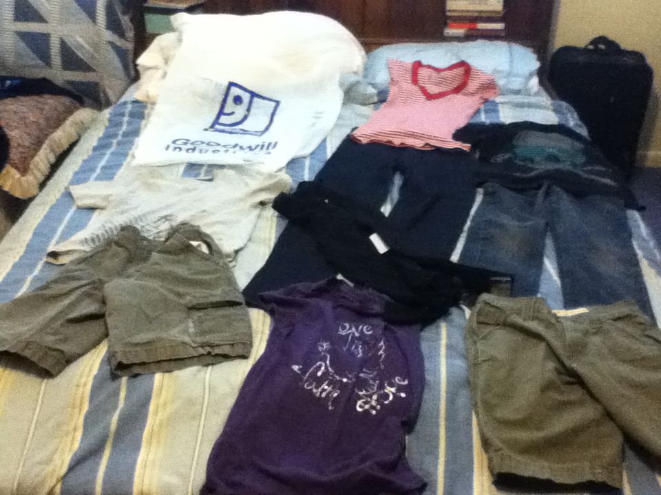 Virginia's Life, Such As It Is!: Bargain Hunting at the Thrift Stores ...