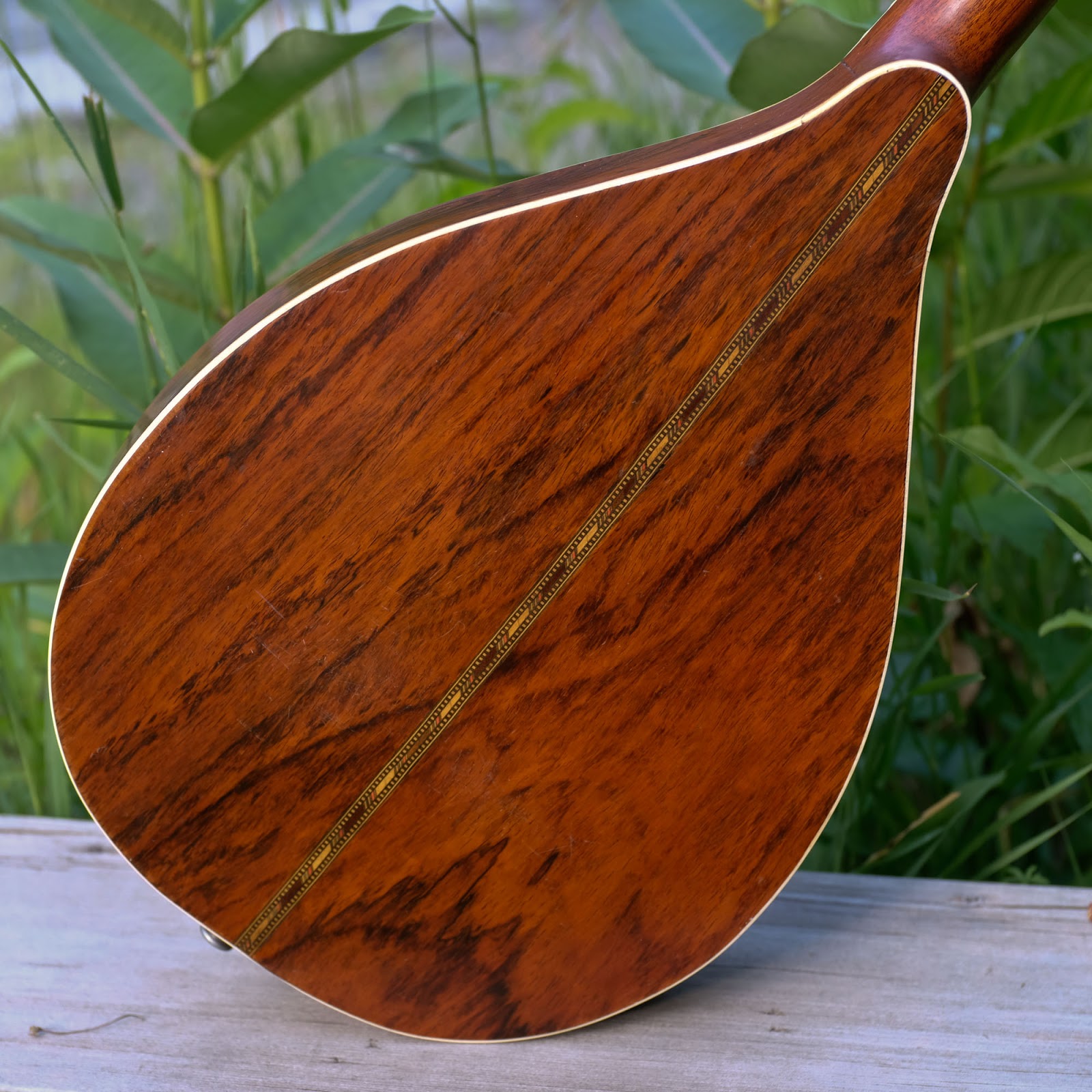 1910s Larson Brothers-made Fancy Flatback Mandolin