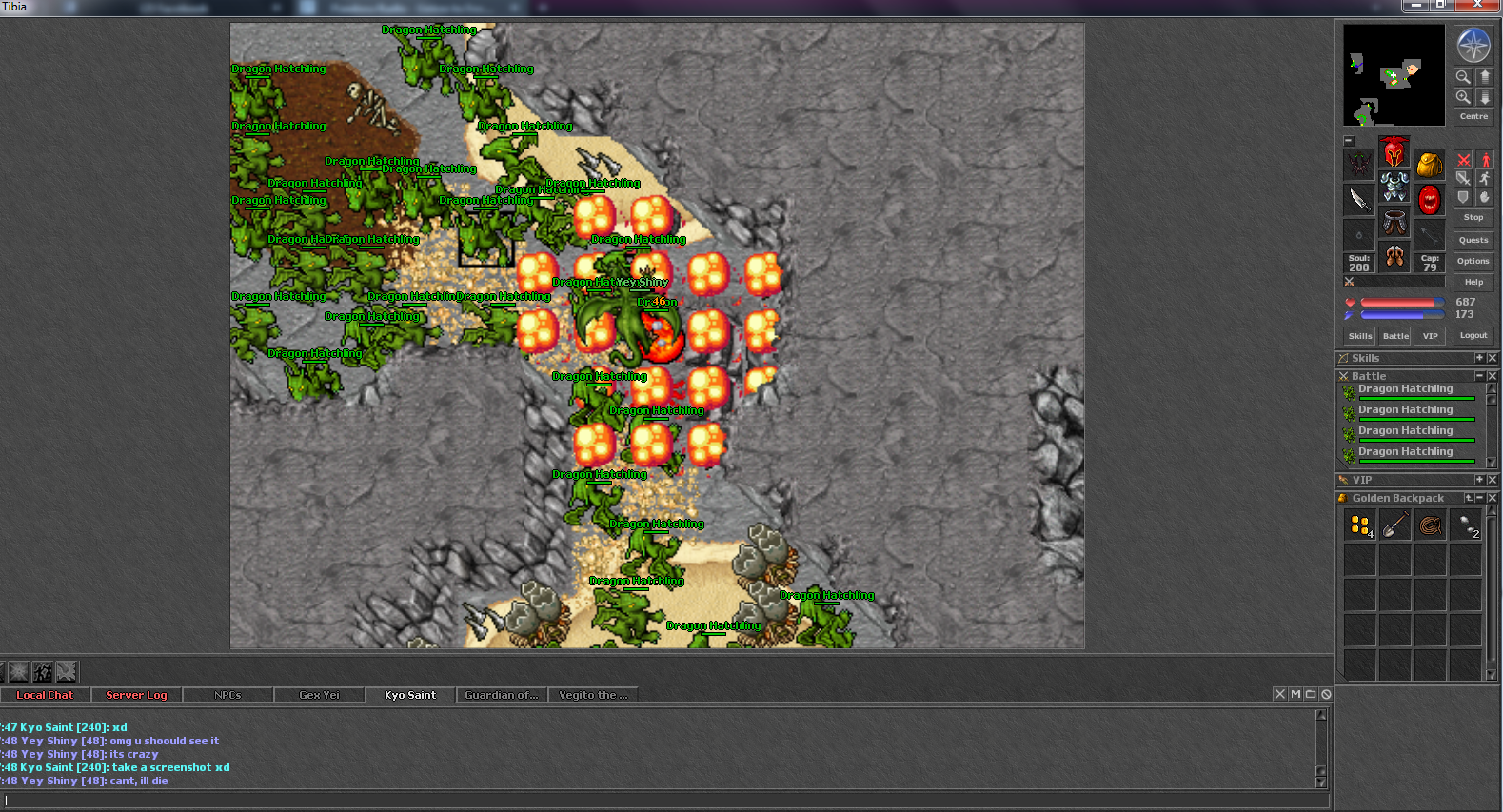 Everyday reviews: Tibia an MMO