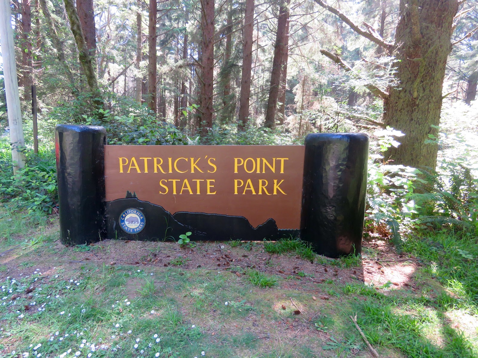 Winds of Destiny - RVLife: Visiting Patrick's Point State Park, 6/03 ...