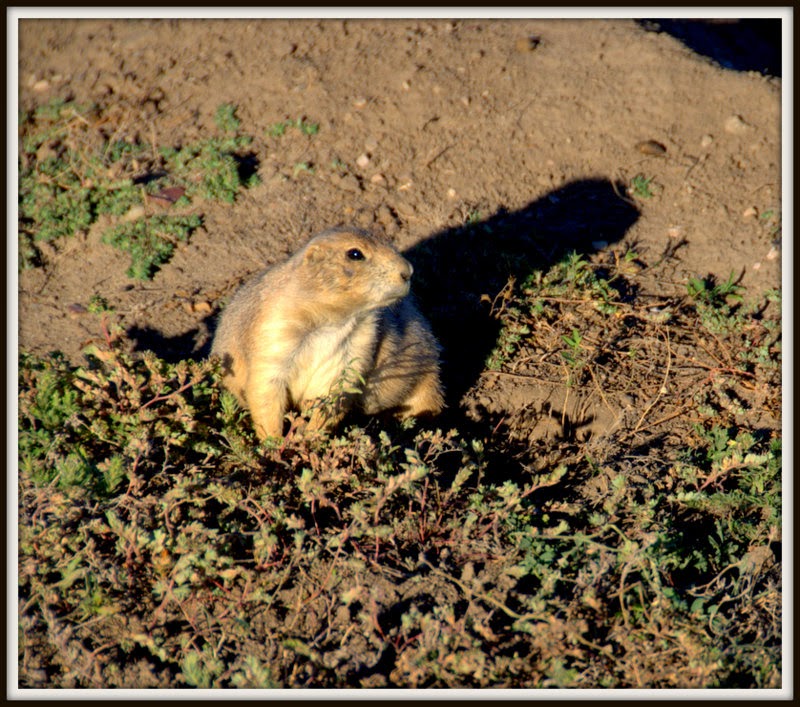 Travels with Fred & Susan Magness