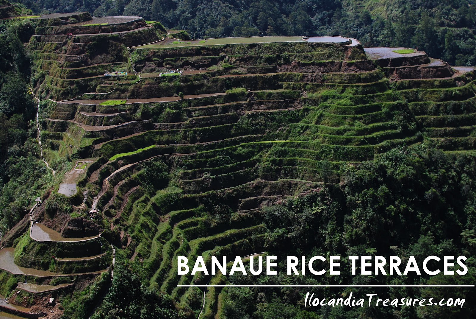 Treasures of Ilocandia and the World: Banaue Rice Terraces: A National ...