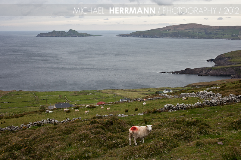 Landscape Photography in Kerry, Ireland: Bolus Head Loop Walk ...
