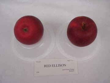 West Essex Deli: Apple Daze