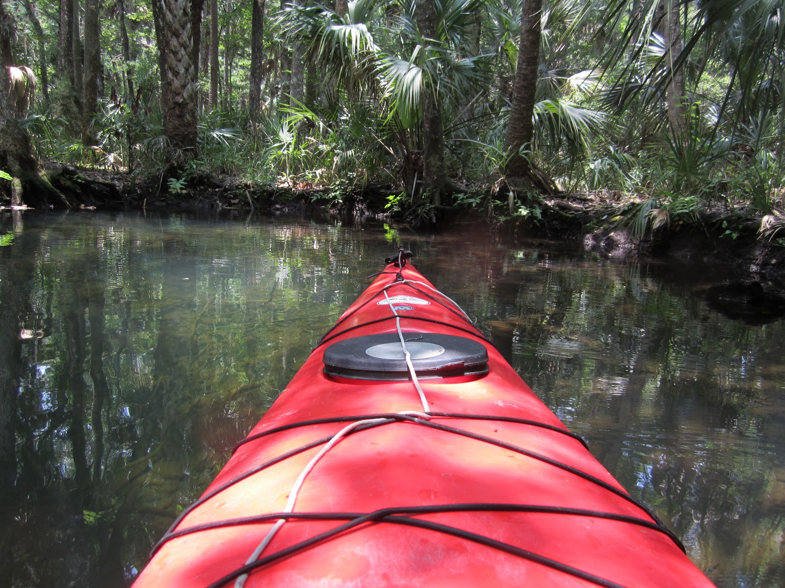 Dave's Yak Tales: Chassahowitzka