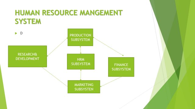 ECONOMICS,COMMERCE AND MANAGEMENT: SYSTEM APPROACH TO HRM