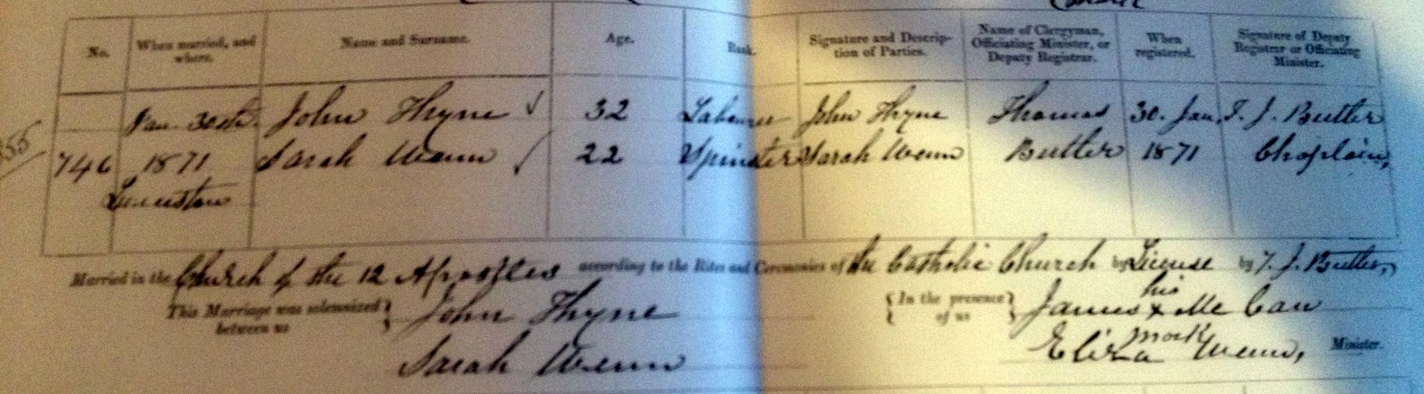 going home: Thynne Family beginnings