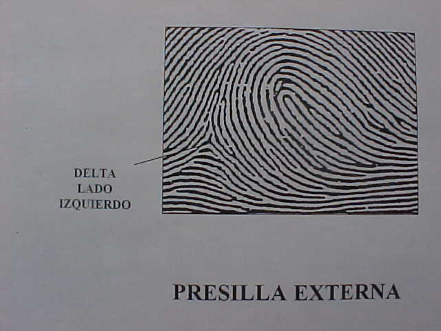 Conceptos generales de Dactiloscopía