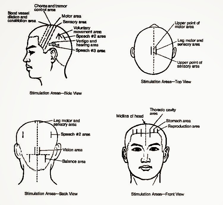 Acupuncture Acupuncture Microsystems And Reflections On The Holographic Body