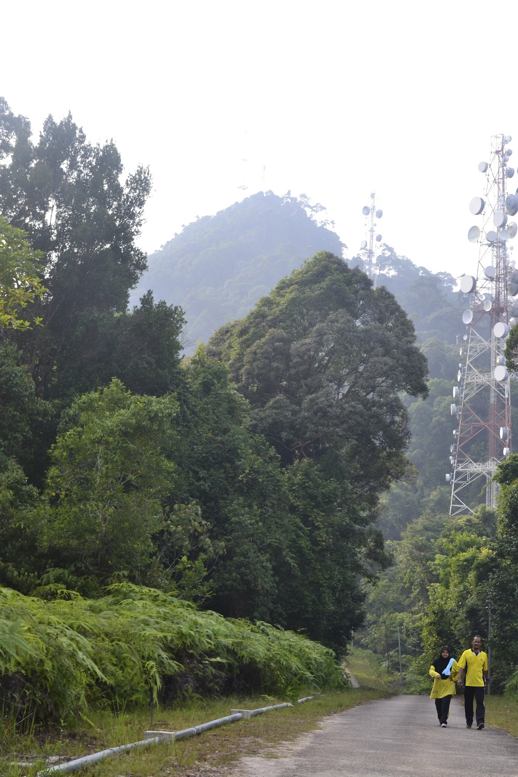BIAR AKSARA BERBICARA: Trek Jogging Bukit Bauk, Dungun, Terengganu.