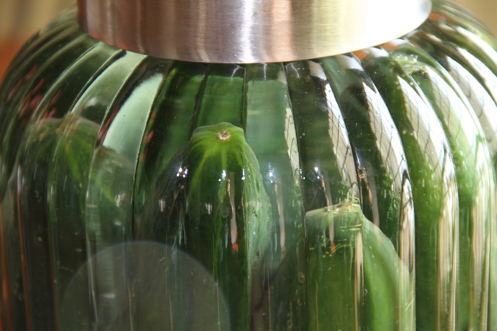 Six Week Pickles – This Old House 2