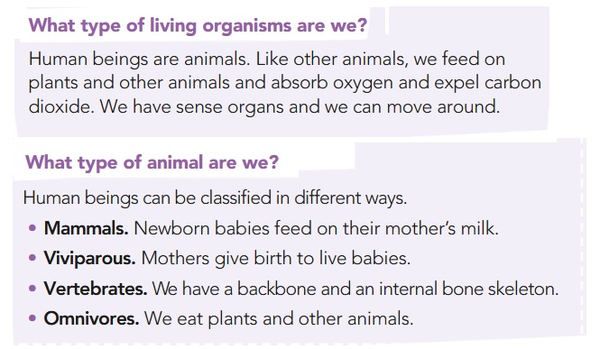 Blog de 3º de Primaria: Natural Science - Unit: THE HUMAN BODY - Lesson ...