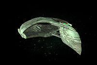 The Trek Collective: Stock up on Romulan starships ready for the Legacy ...