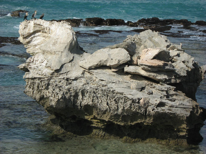De Hoop Nature Reserve