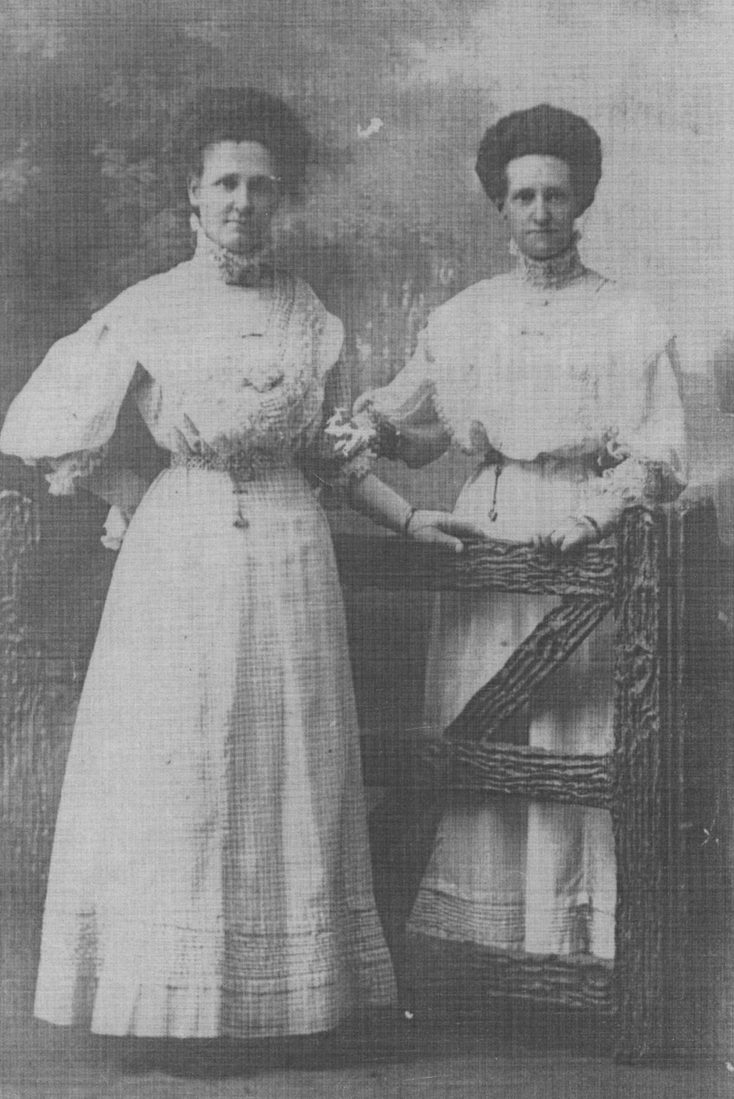 Olney Family Archives: David & Louisa J. (Swinnerton) Olney