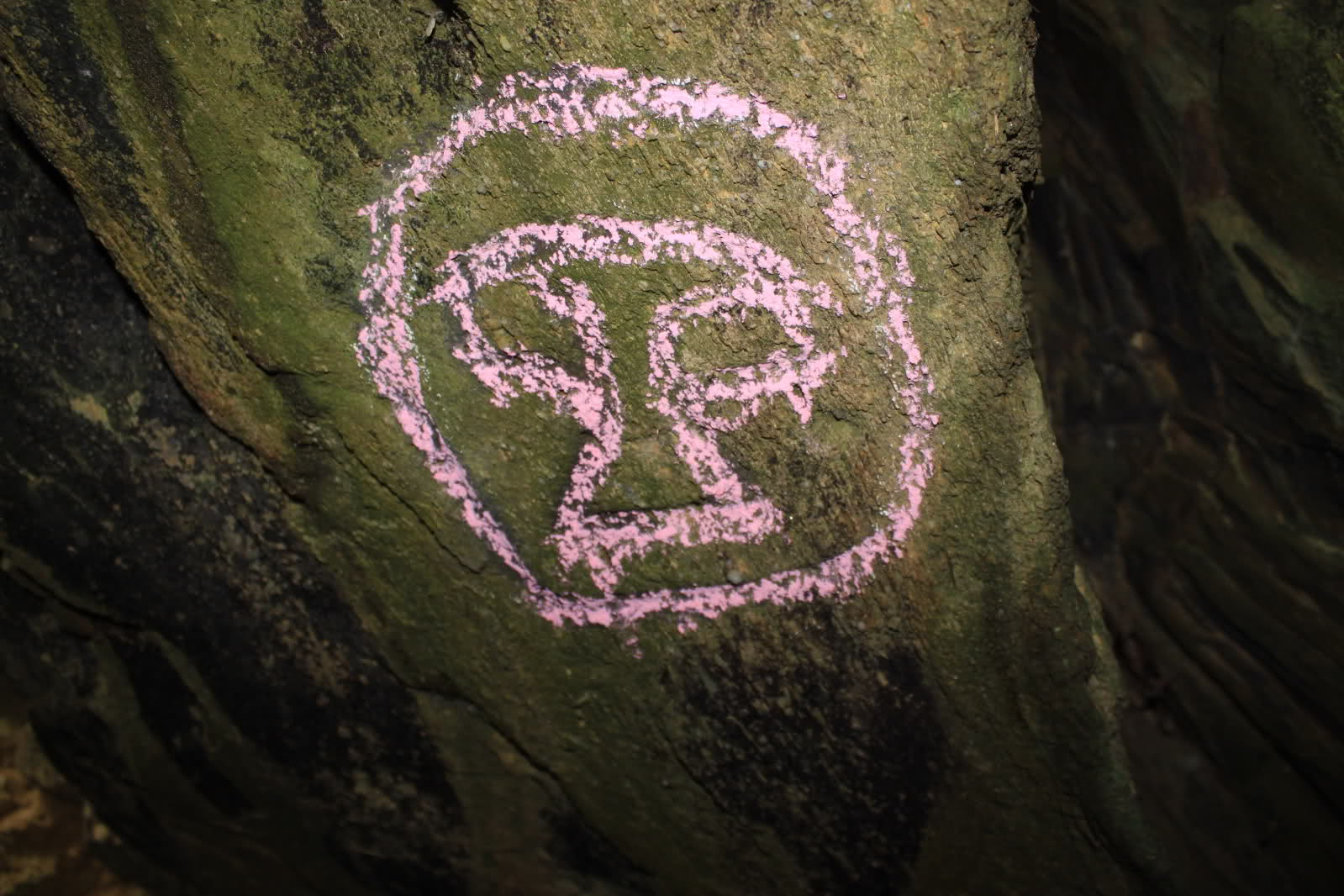 ARQUEOLOGIA PALEONTOLOGIA VENEZUELA: Petroglifos de a Cueva el Indio de ...