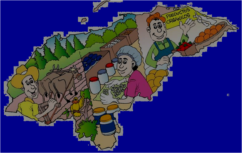 Carolina Reyes: Productos Orgánicos que se producen en Honduras