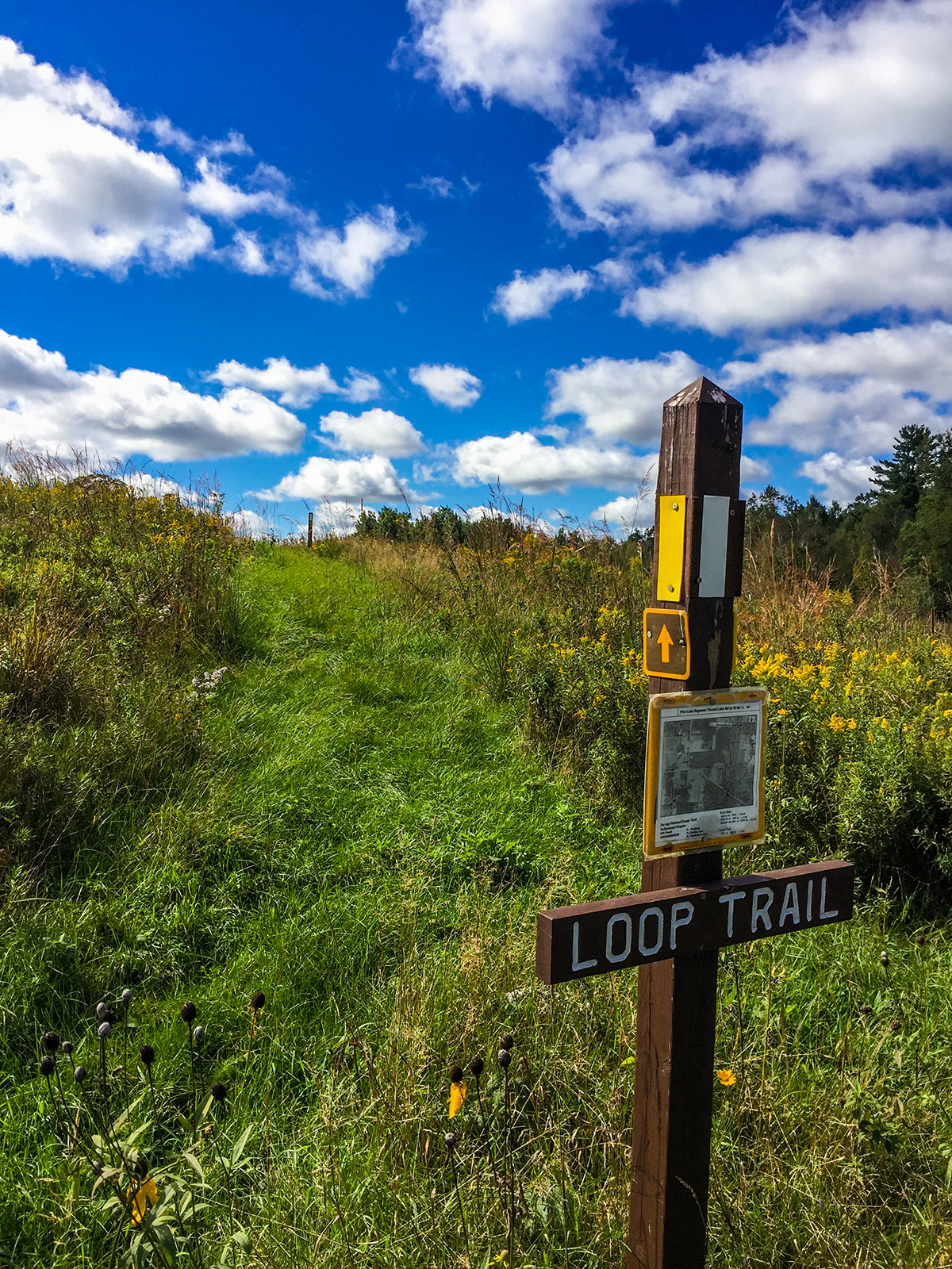 Wisconsin Explorer: Hiking the Ice Age Trail Pine Lake Segment