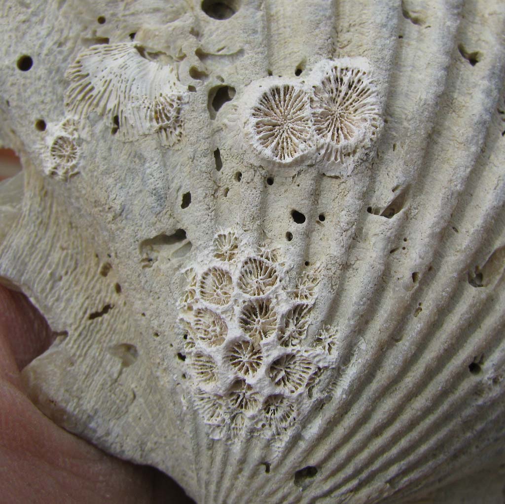 Views of the Mahantango: September 2015