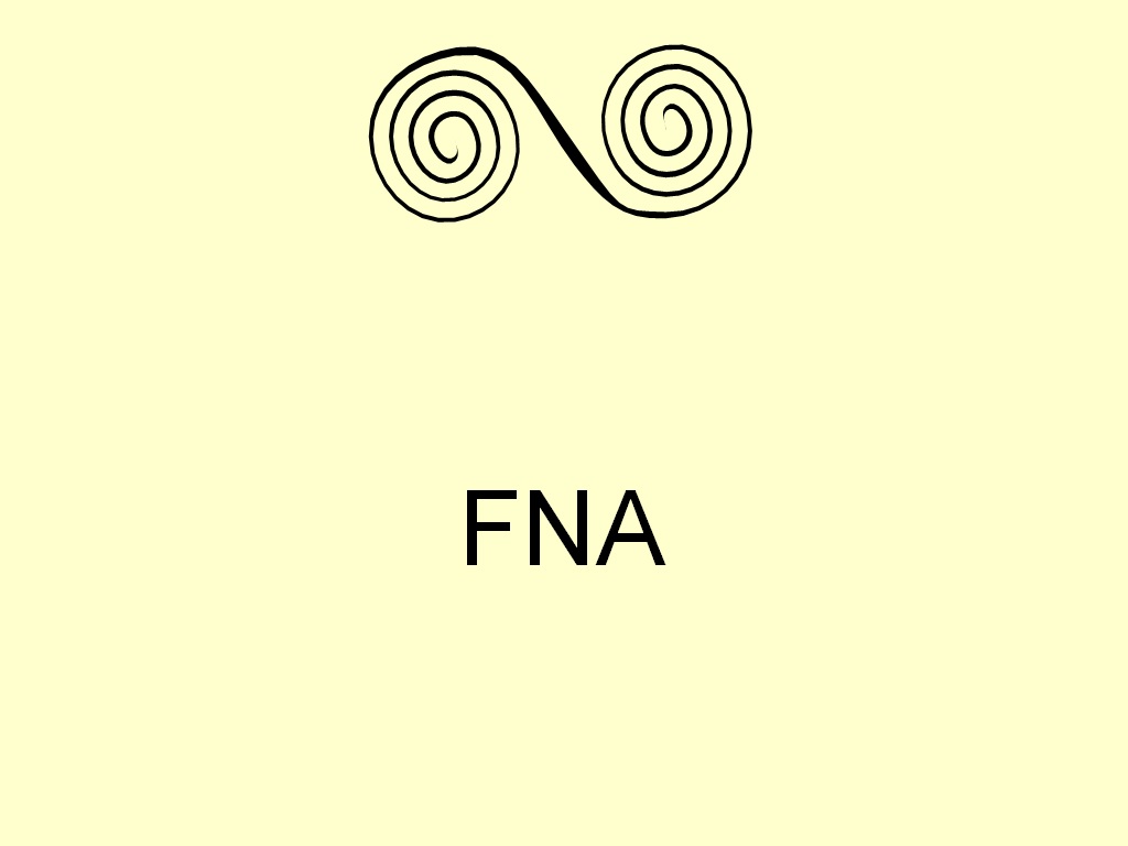 Student Survive 2 Thrive: Medical Terminology Flash Cards ...