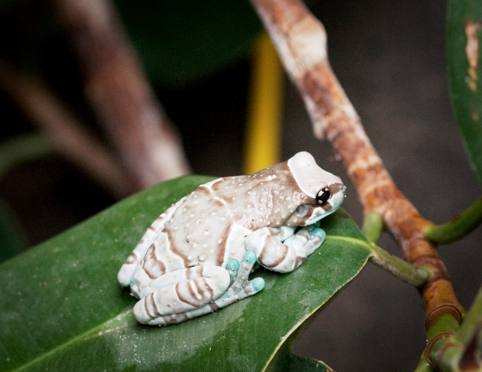 The Oakland Press Blogs: Earth's Almanac: January 2012