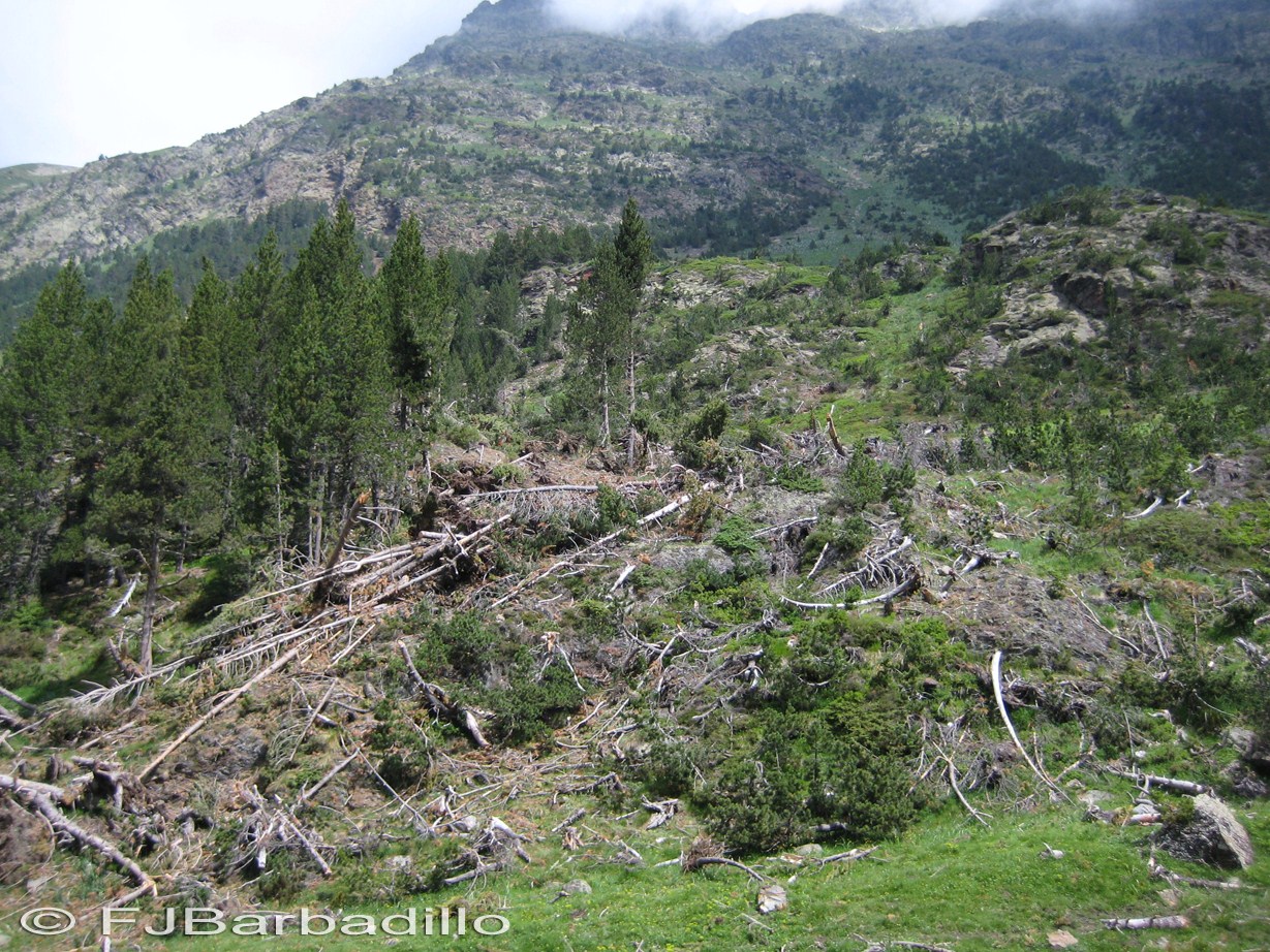 El último rincón: ALUDES. Capítulo 2: LAS CONSECUENCIAS