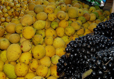 FRUTAS NATIVAS DA AMAZÔNIA: Comercialização das frutas nativas da ...