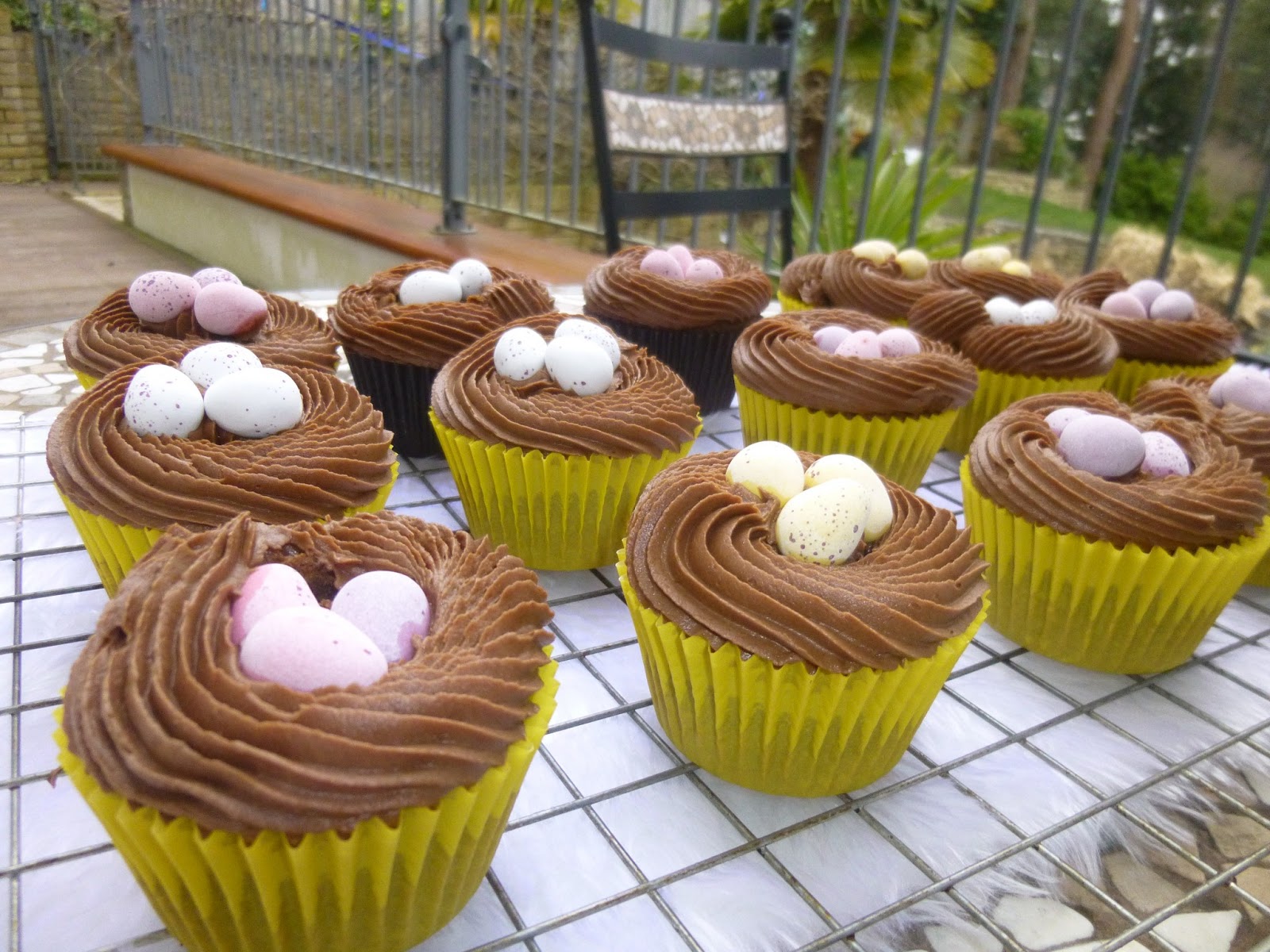 Crazy Moose Bakery Blog