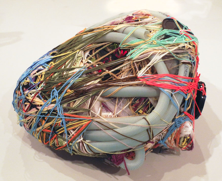 Studio and Garden: Judith Scott: Aesthetics and Biography