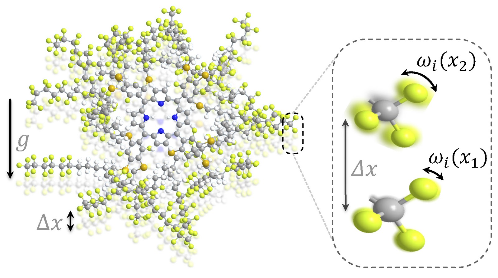 2Physics: How Time Dilation Affects Quantum Superpositions