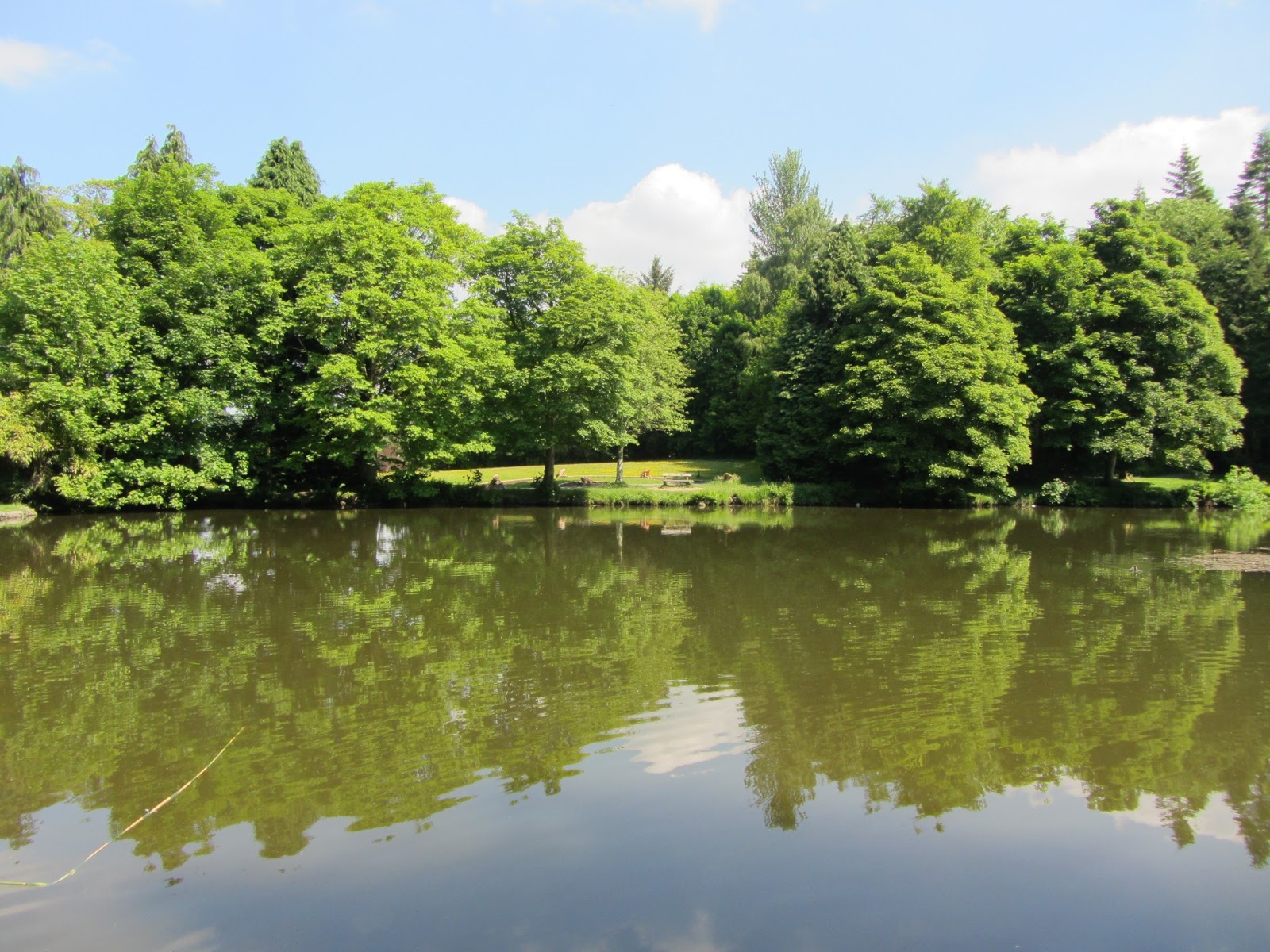 *Nina's Bargain Beauty*: Places to Go in Ireland : Dun Na Ri Forest Park