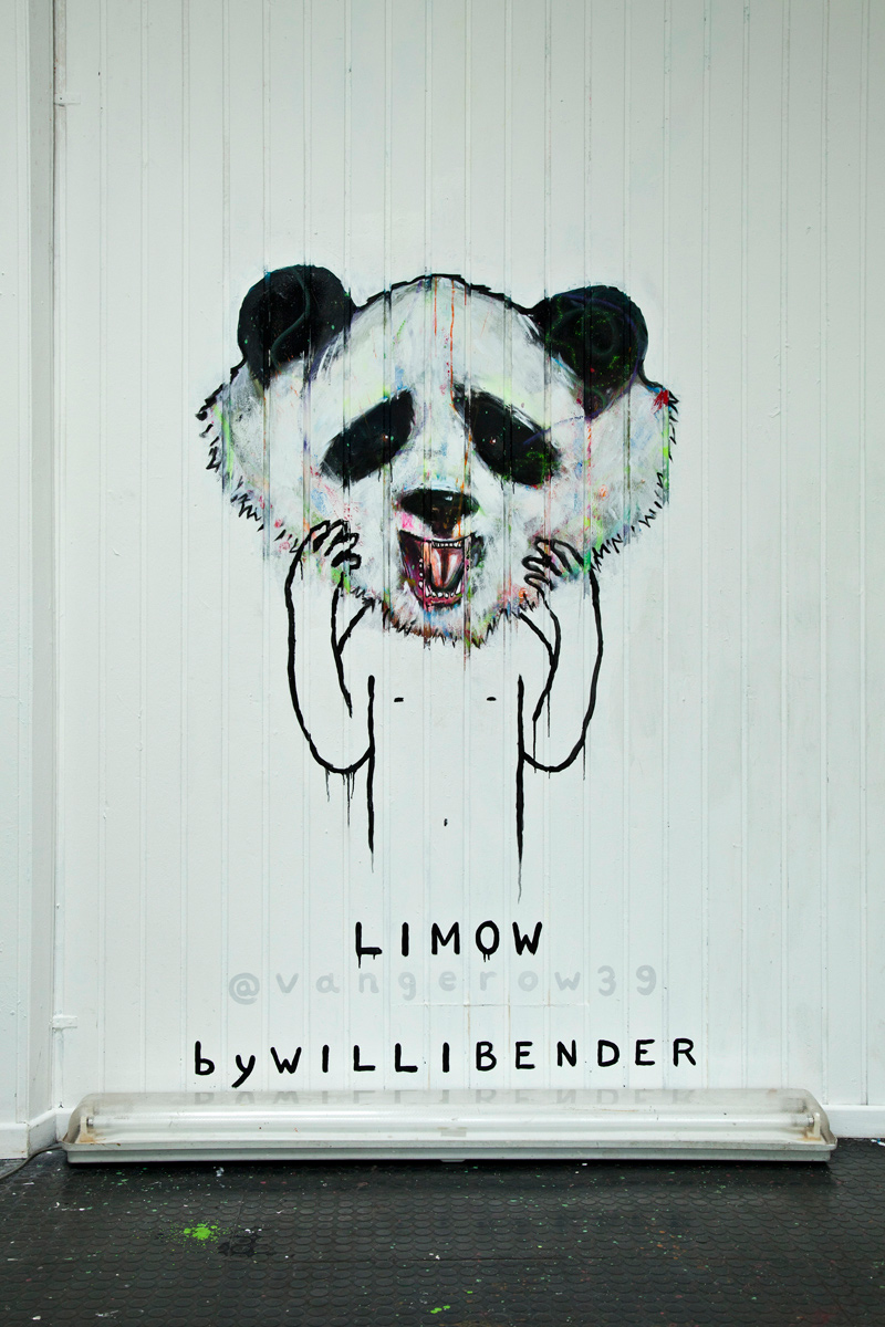 LIMOW blog