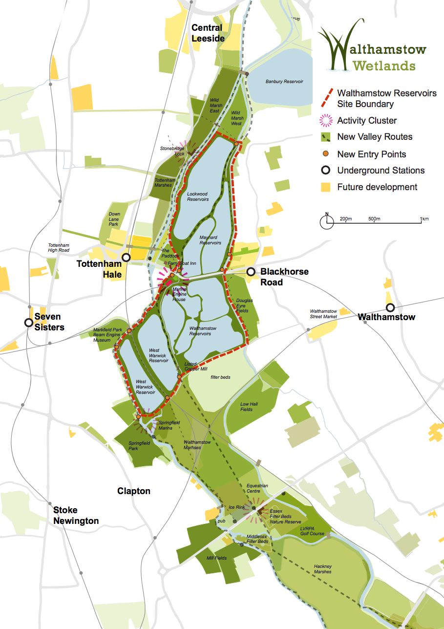 Non-Stop Birding: Non-local Walk- Walthamstow Reservoirs/Wetlands