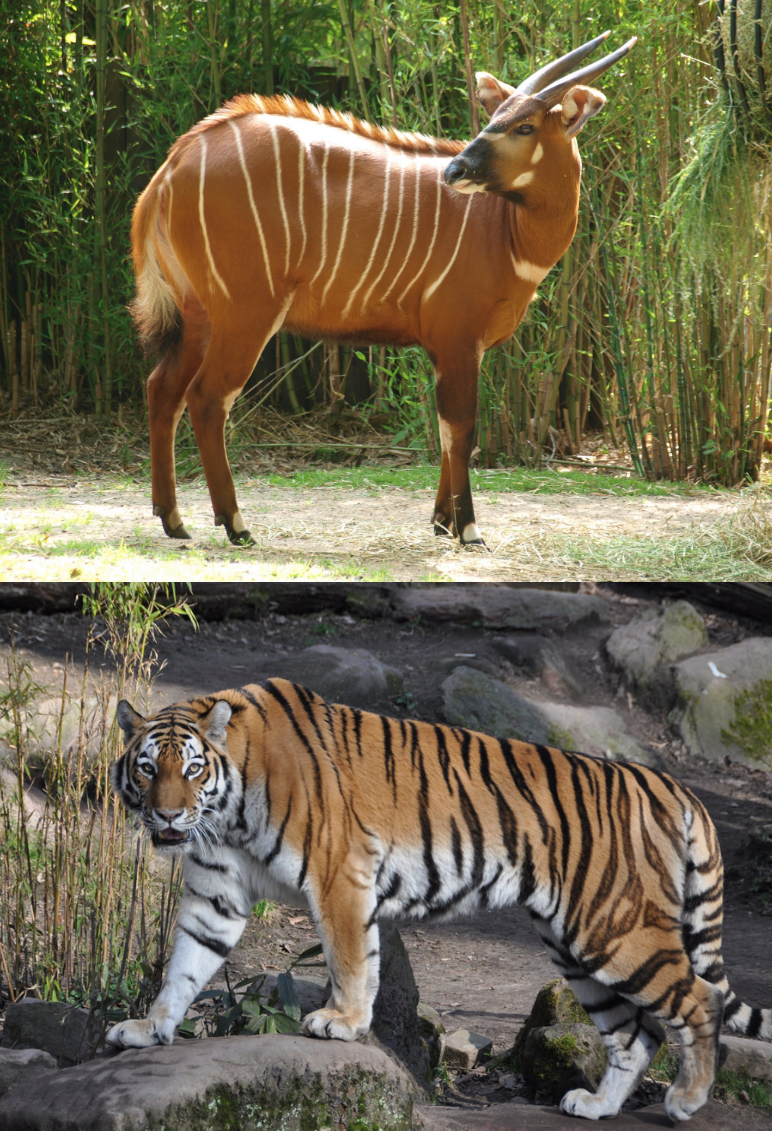 Life is short, but snakes are long: April 2016