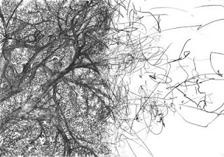 Art 020: Susan Turcot