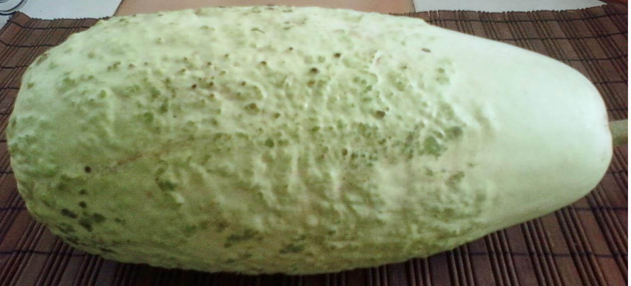 Partager avec plaisir - Recettes de cuisine faciles et idées de ...