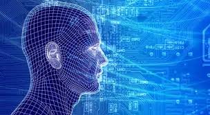 What is information technology? Describe any three fields of it ...