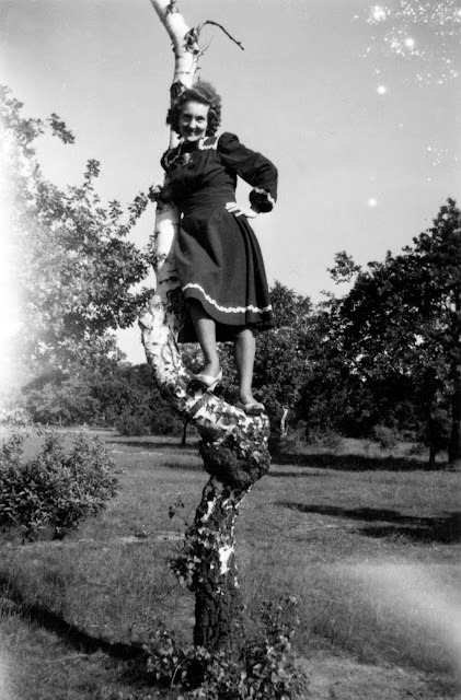 52 Vintage Snapshots Capture Young Women Jauntily Posing in Trees From ...