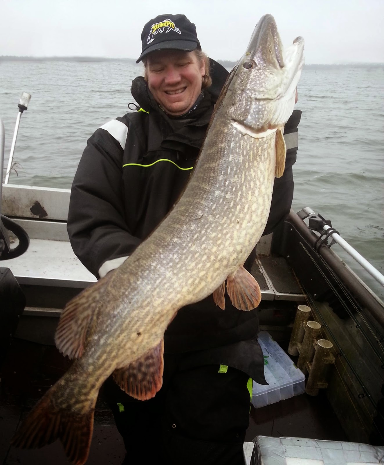 Fat pike on | Kalastus.com