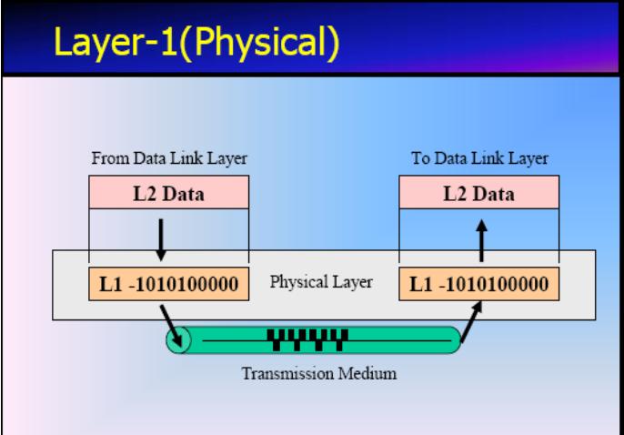 Networking(DCCN): OSI Reference Model
