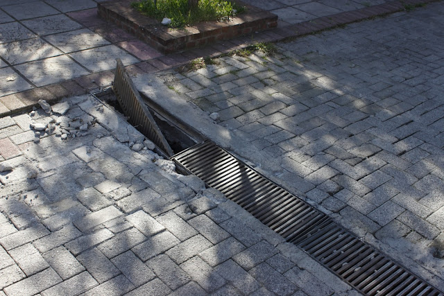 αλεπού του Ολύμπου: Λεπτοκαρυά...Η Άλλη Όψη, η άσχημη...