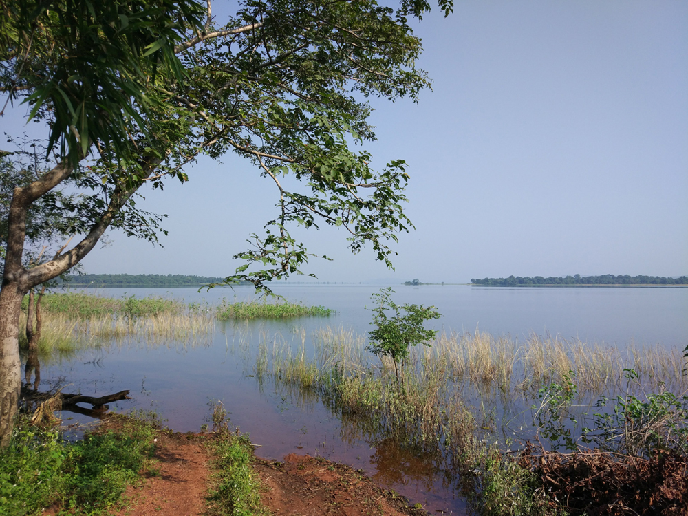Planning a Trip to Tadoba National Park