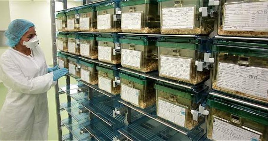 Moderno bioterio abre una nueva era para la investigación en salud ...