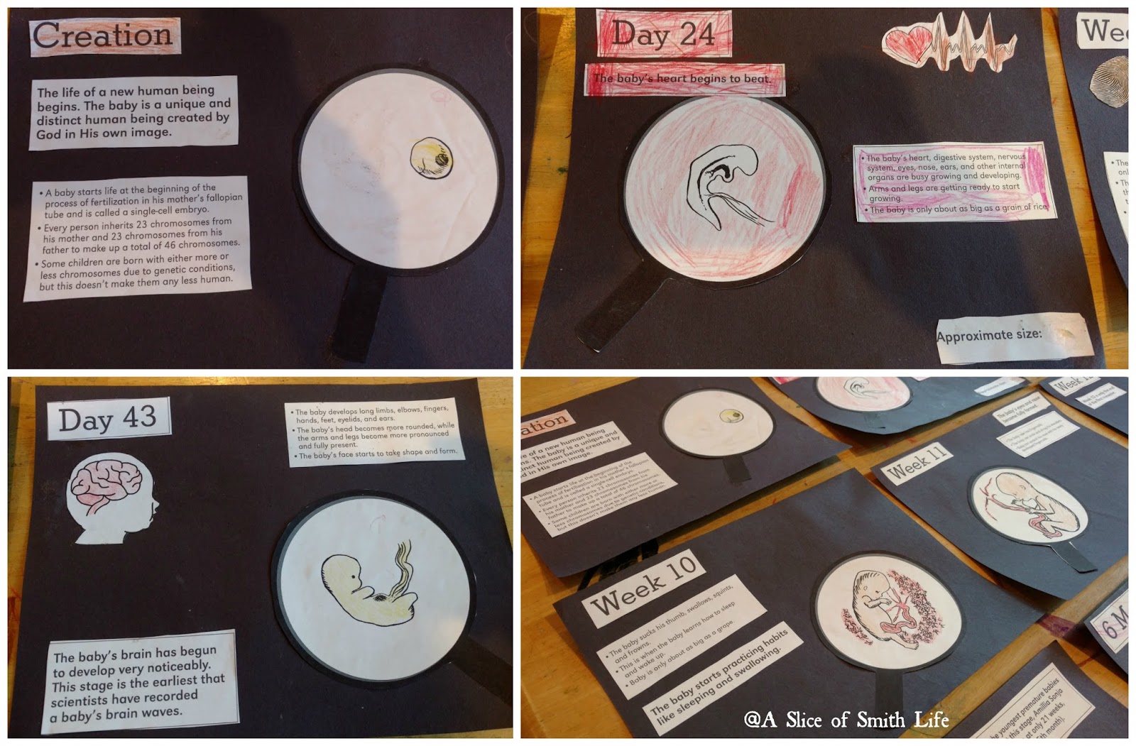 A Slice of Smith Life: A Defend Life Lesson From Culture of Life ...