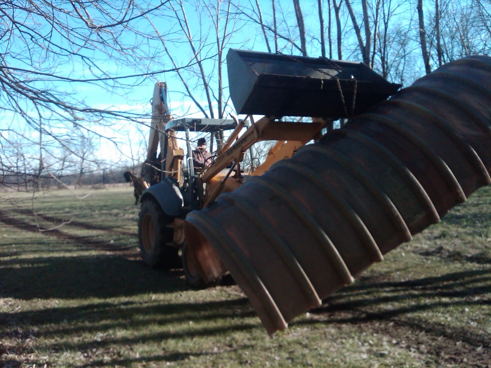 Full of Graze Farm: Future pig shade