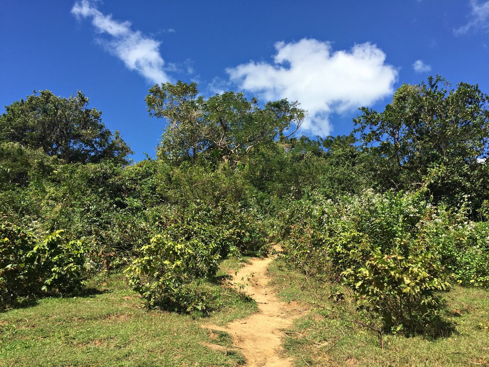 prildelrosario: Travel 2015: Climb: Mt Talamitam, Nasugbu, Batangas