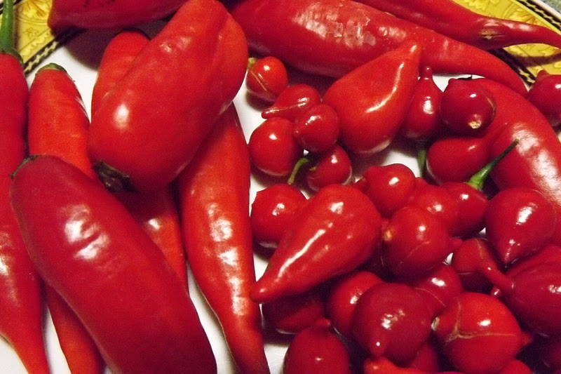 Receitas de Pimenta: Historias da Pimenta