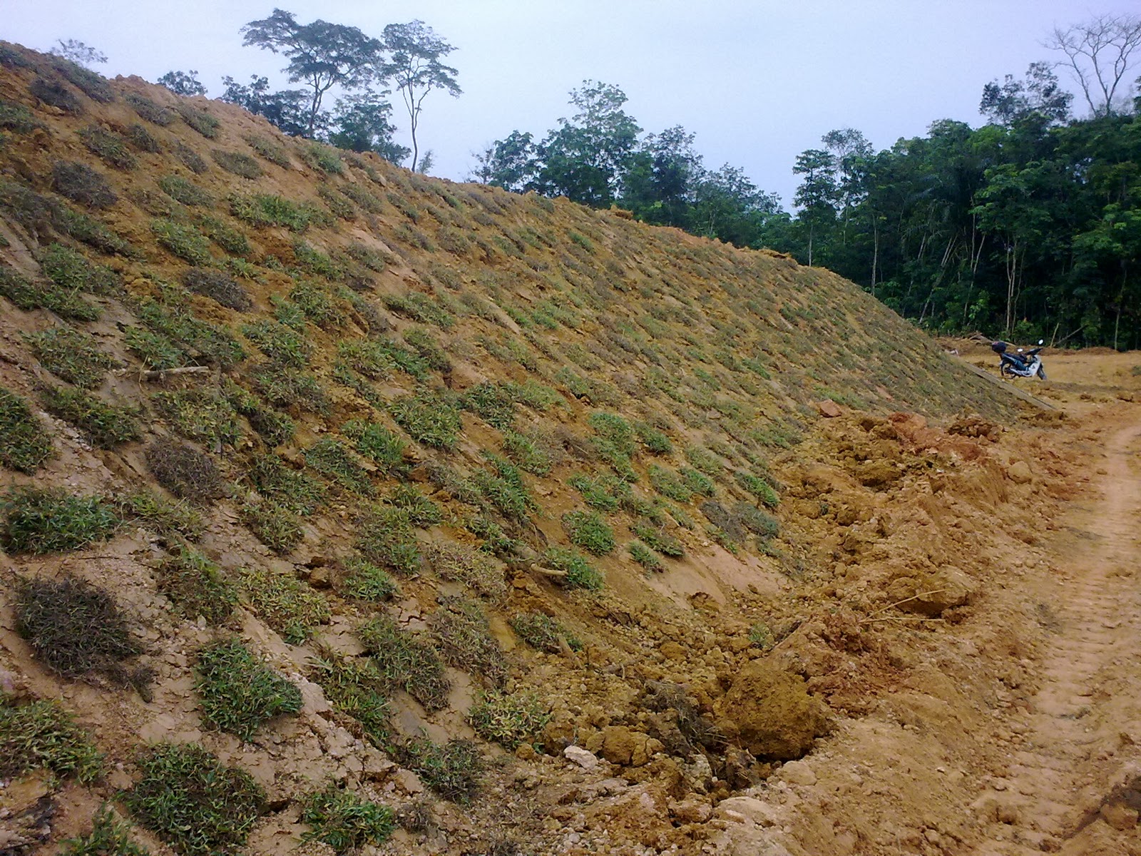 PEMBEKAL RUMPUT MALAYSIA: RUMPUT SPECT JKR
